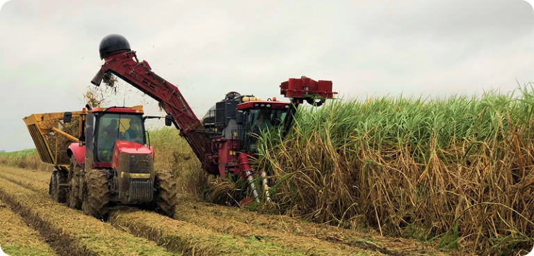 Fatima Sugar Mills Limited – fatima-group.com